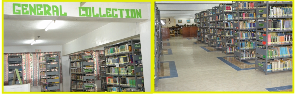 General Collection Section